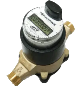 water-meters-register-options-encoders | RG3 Meter